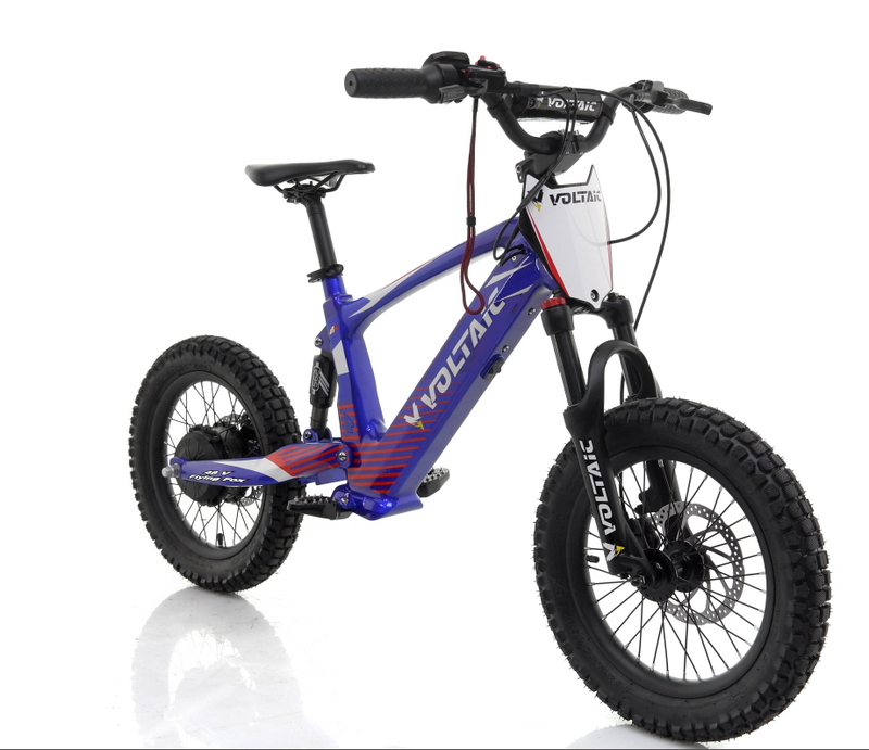 Voltaic Youth Electric Dirt Bike 20'' Flying Fox 48V