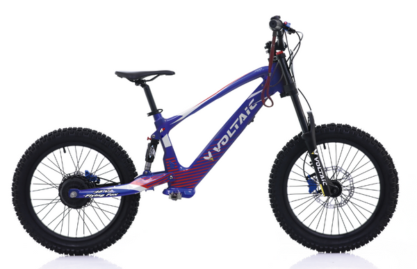 Voltaic Youth Electric Dirt Bike 20'' Flying Fox 48V